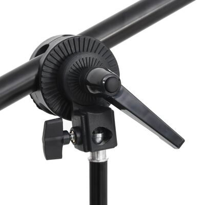 vidaXL Set de iluminat pentru studio cu trepied și softbox | vidaXL.ro